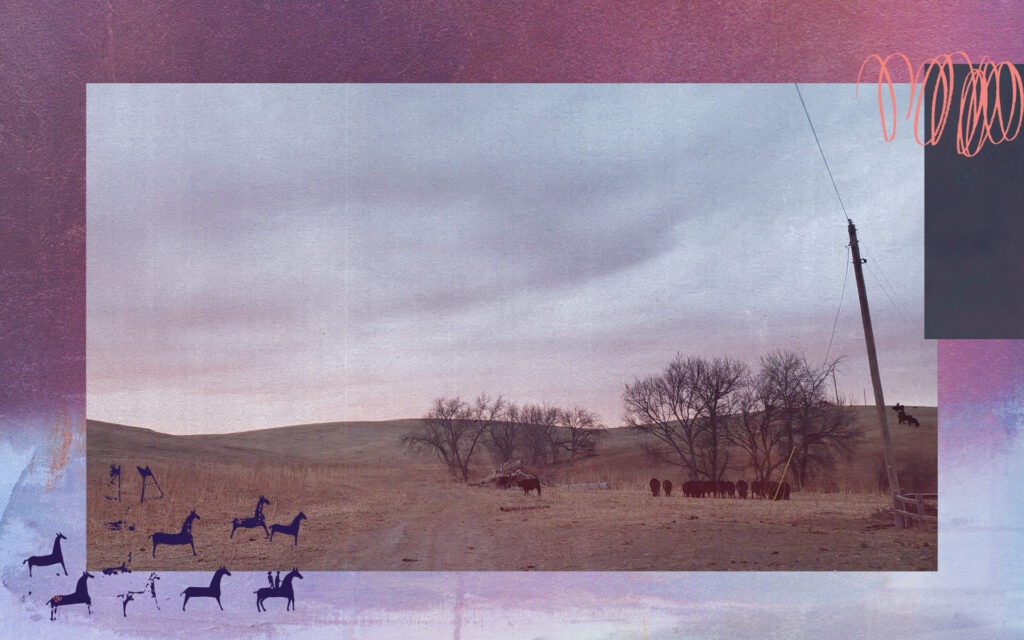 What Led to Health Disparities for Native Americans on the Pine Ridge ...